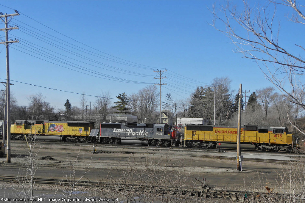 This trio was quite the surprise - napping on main 1 at the "Old Yard Office"